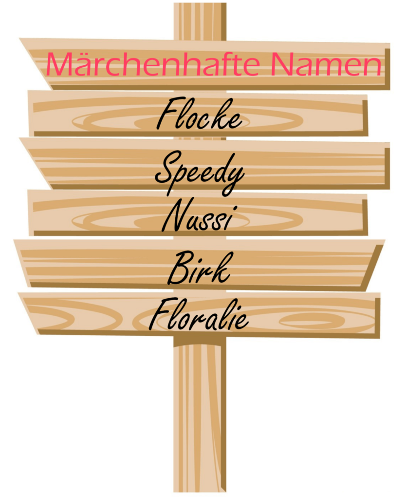Namen Fur Wichtel Jungen